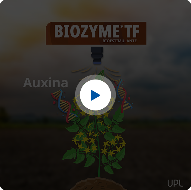 Biozyme® TF es un bioestimulante de origen natural con efecto ...