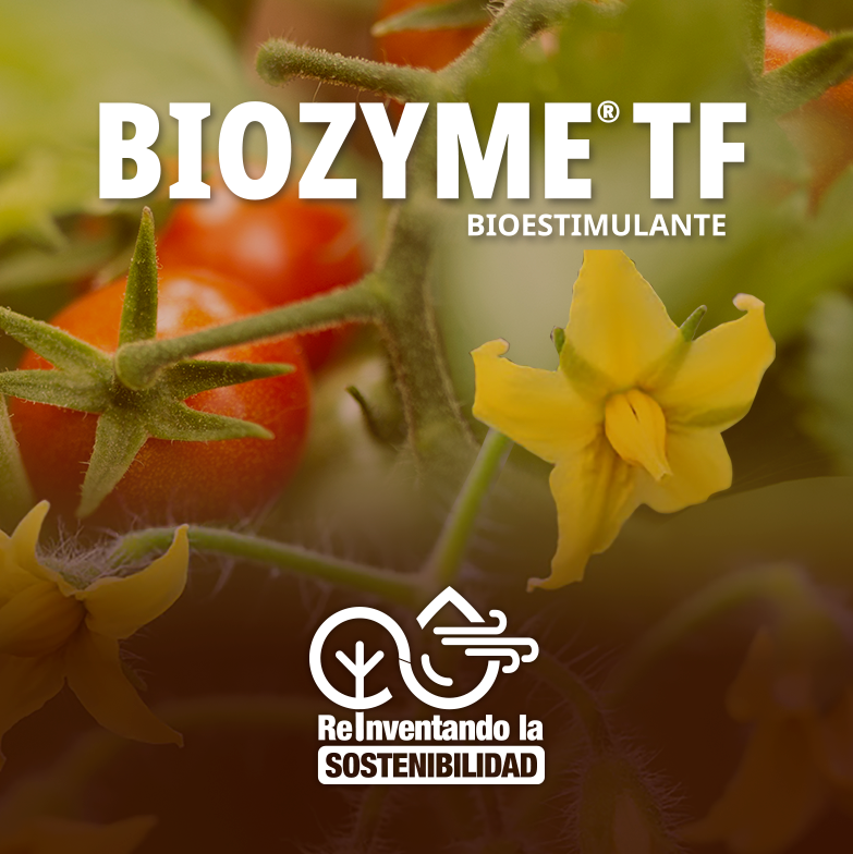 Biozyme® TF es un bioestimulante de origen natural con efecto ...