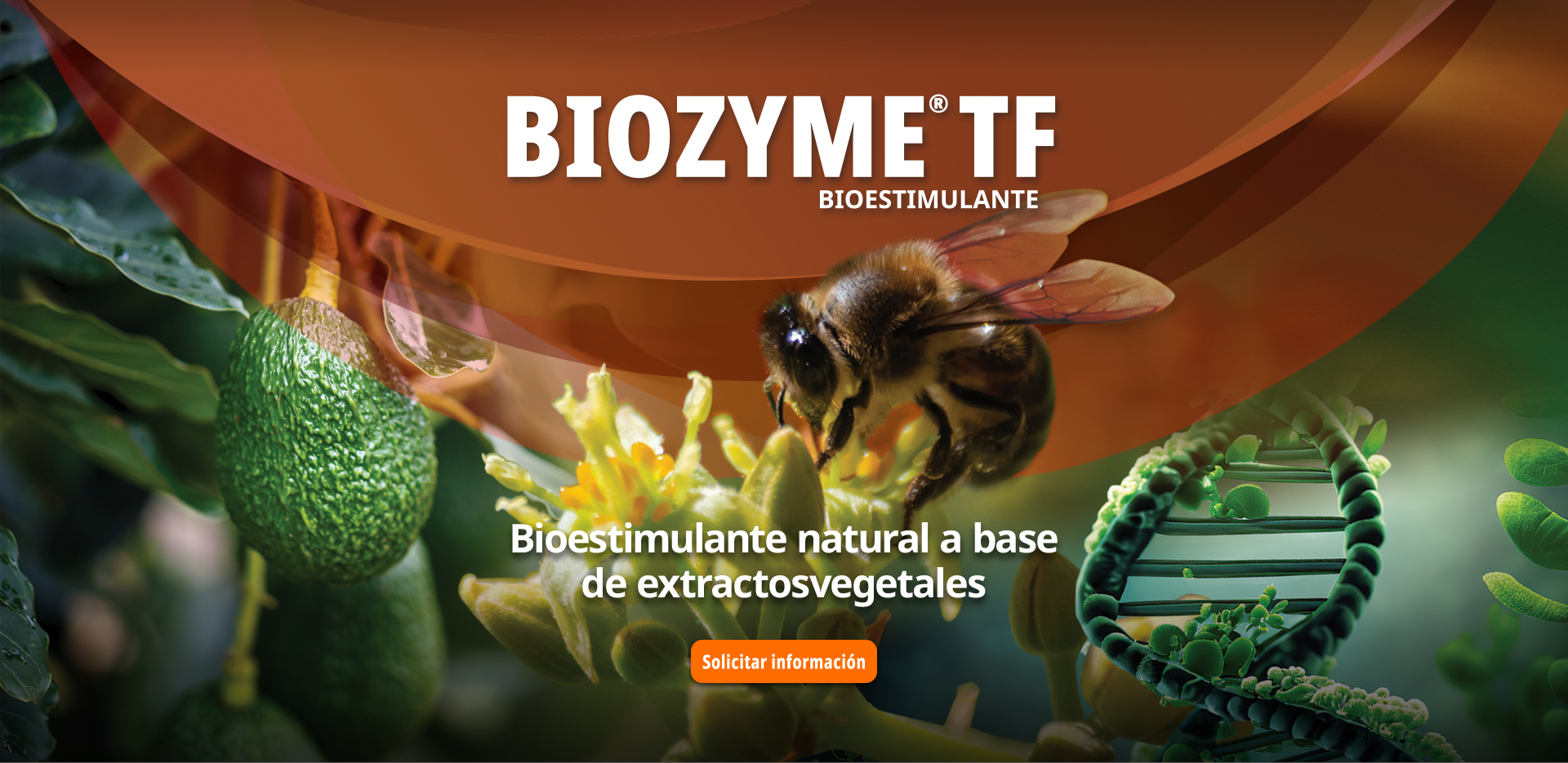 Biozyme® TF es un bioestimulante de origen natural con efecto ...