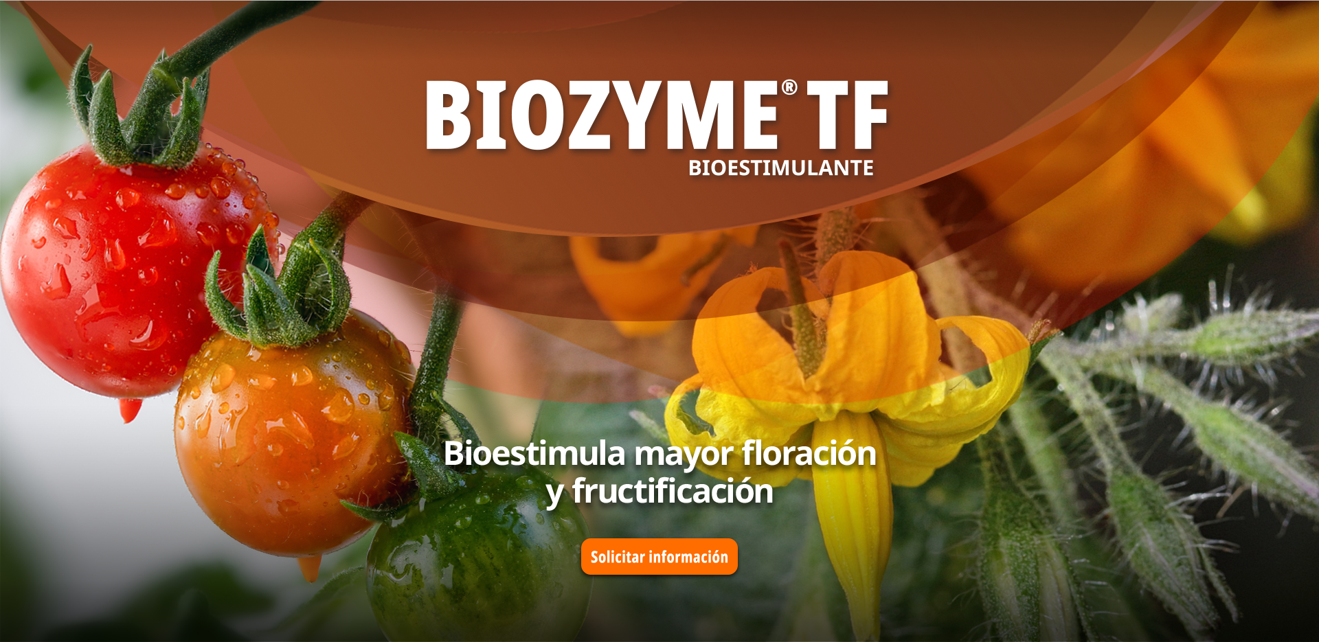 Biozyme® TF es un bioestimulante de origen natural con efecto ...
