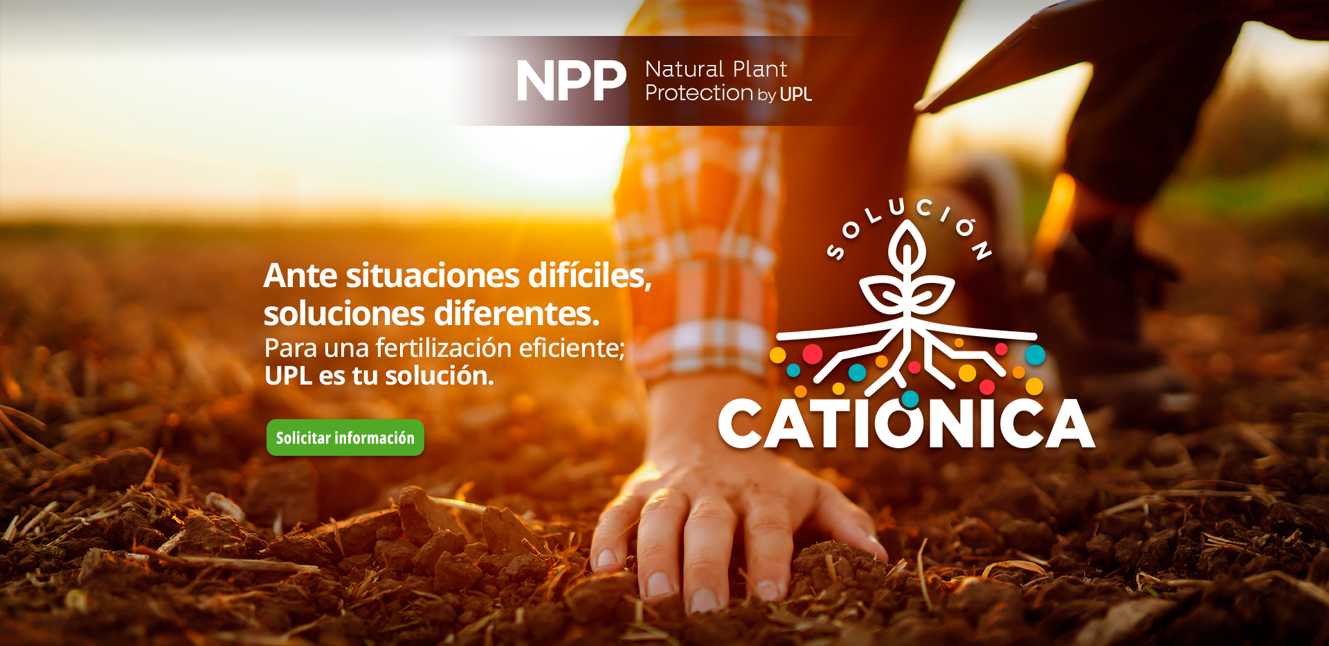 Solución Catiónica Con tecnología innovadora de UPL Open Ag, mejora la ...