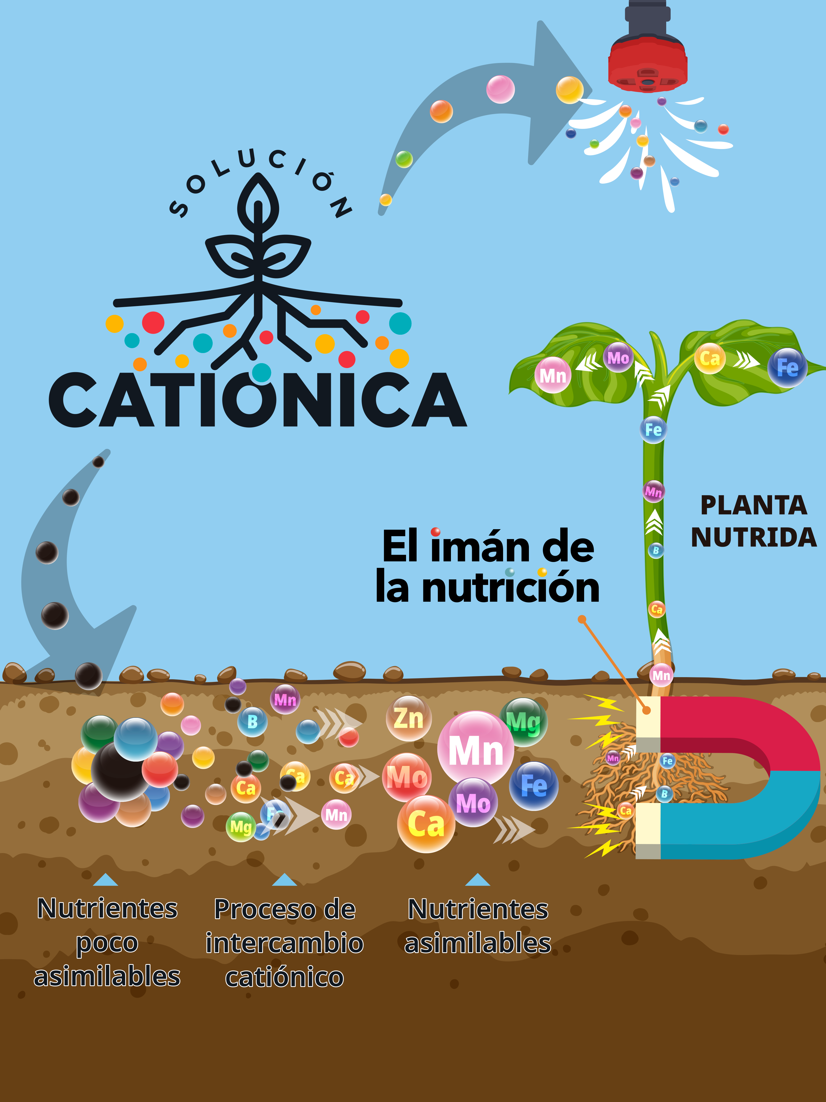 Solución Catiónica Con tecnología innovadora de UPL Open Ag, mejora la ...